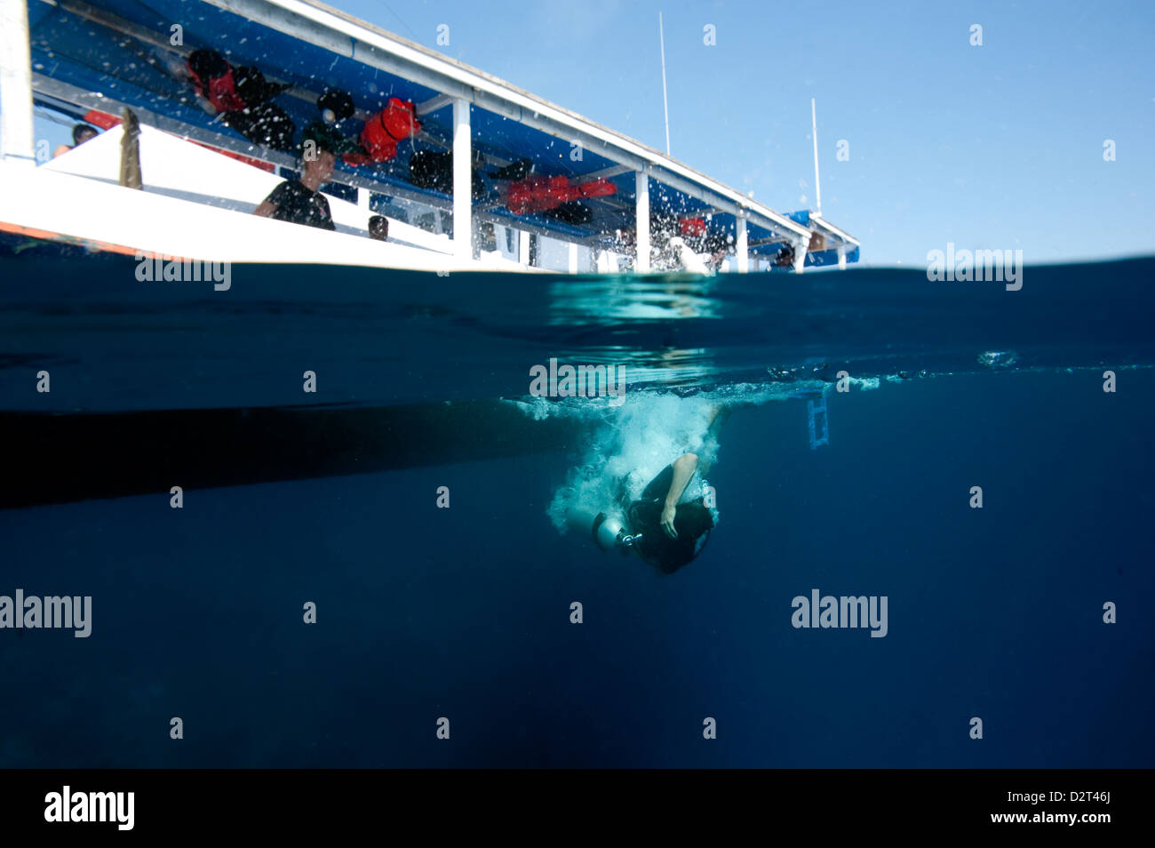 Scuba diver rolling back hi-res stock photography and images - Alamy