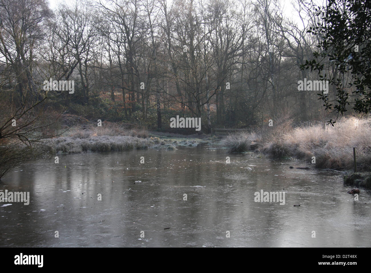 Wimbledon lake hi-res stock photography and images - Alamy