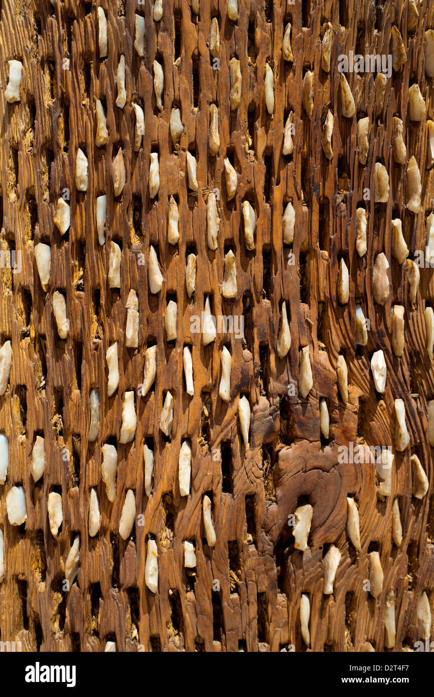 threshing board for wheat of aged wood and stones texture vintage ...