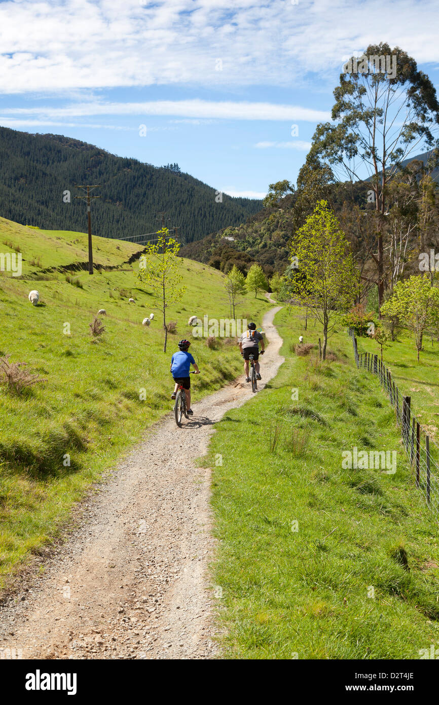 Nelson New Zealand High Resolution Stock Photography and Images - Alamy