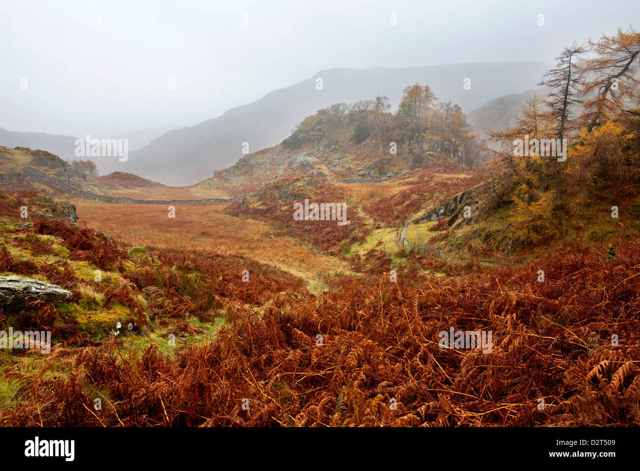 Grange In Borrowdale High Resolution Stock Photography and Images - Alamy