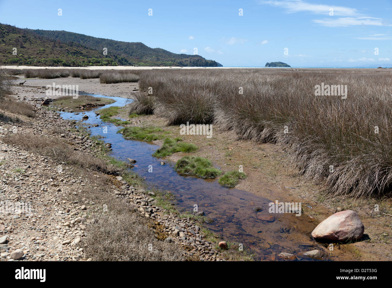 Beach in Abel Tasman National Park, New Zealand Stock Photo - Alamy