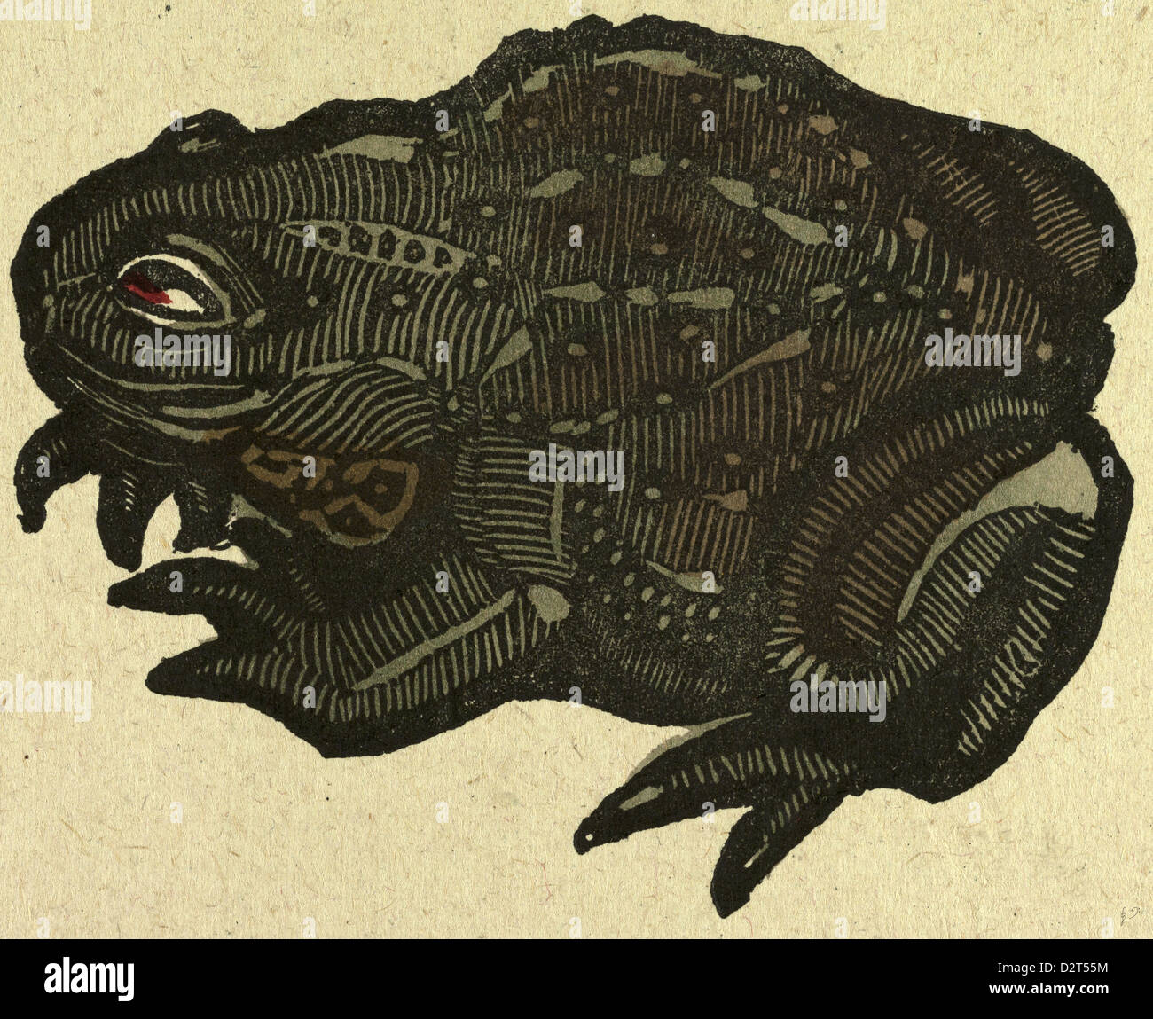 illustration of English tales folk tales and ballads. A toad Stock ...