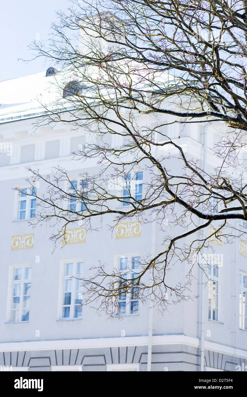 Tree in front main hi-res stock photography and images - Alamy