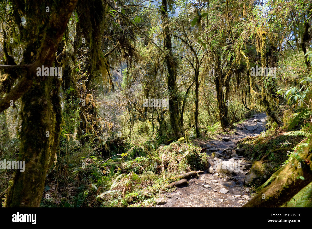 Modi Khola Valley, Annapurna Himal, Nepal, Himalayas, Asia Stock Photo ...