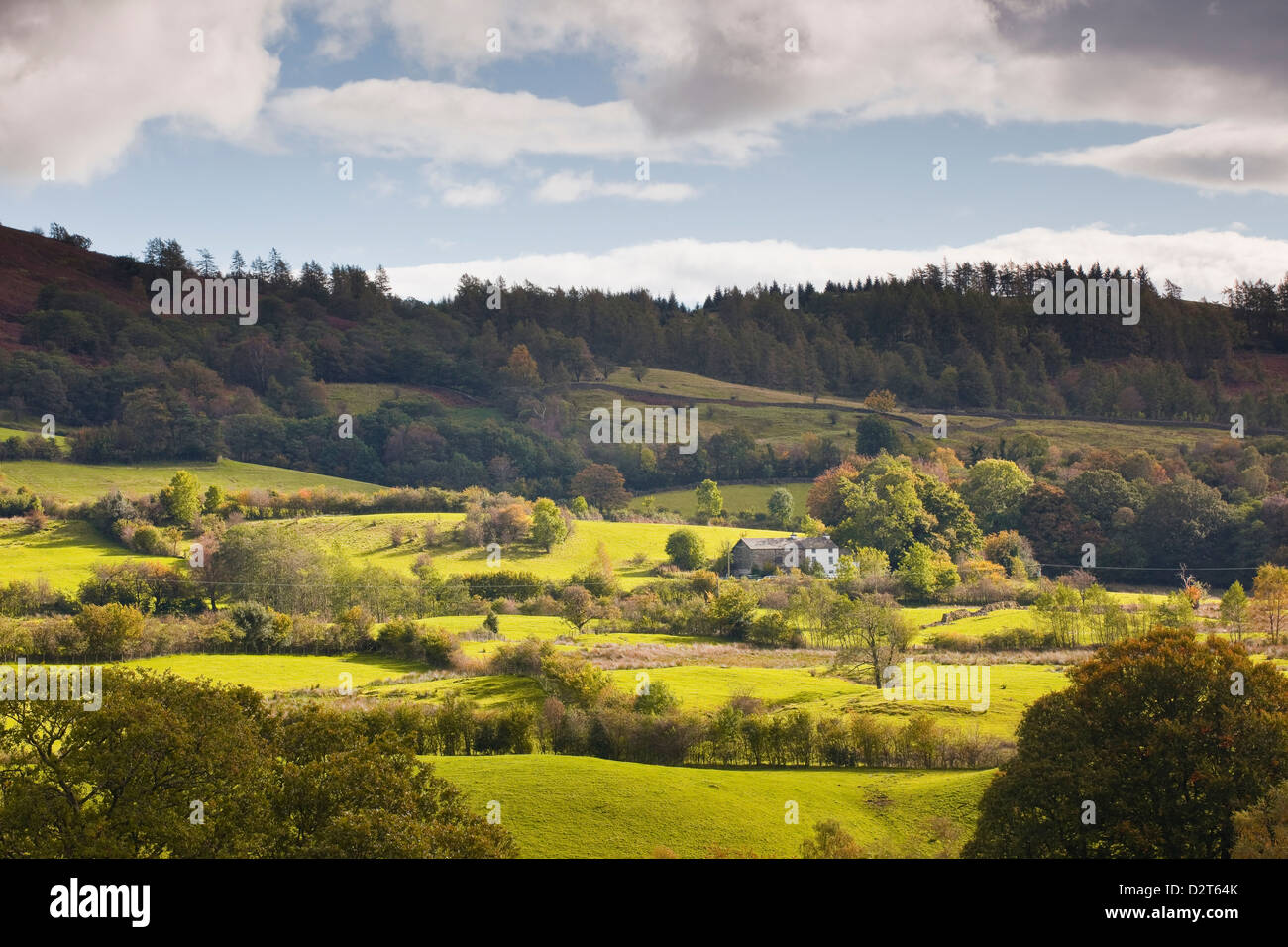 The sun lights up typical Lake District countryside near to Outgate ...