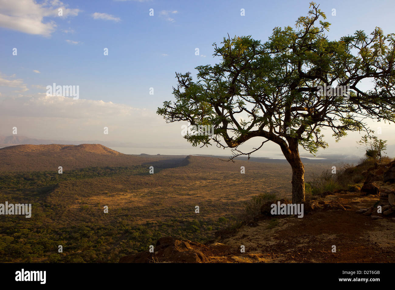 Arba minch hi-res stock photography and images - Alamy