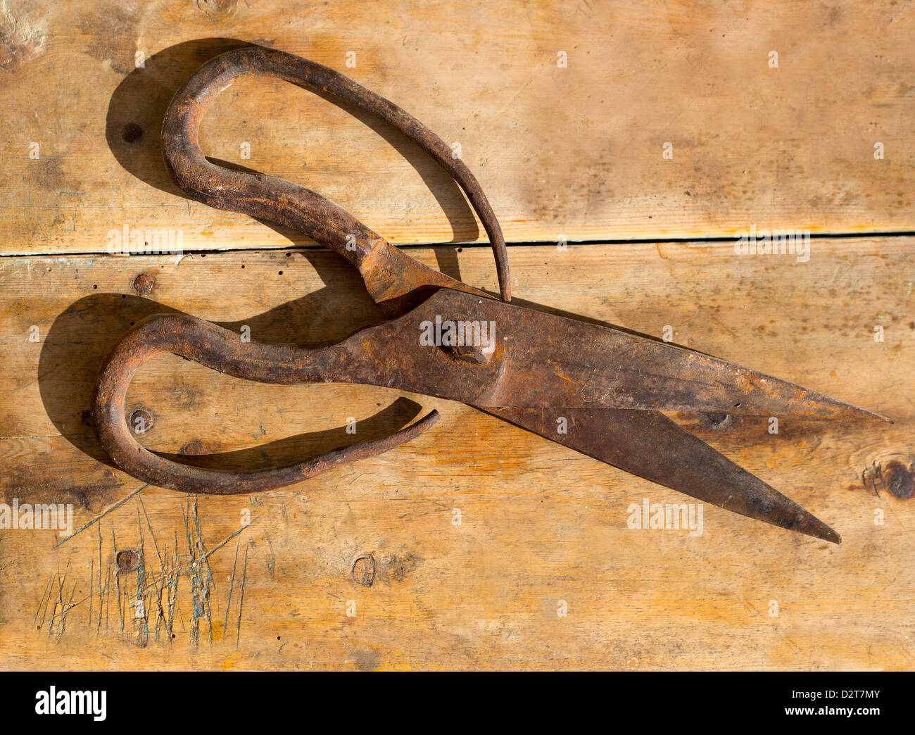 Antique sheep wool shears scissors vintage rusted on retro wood Stock ...