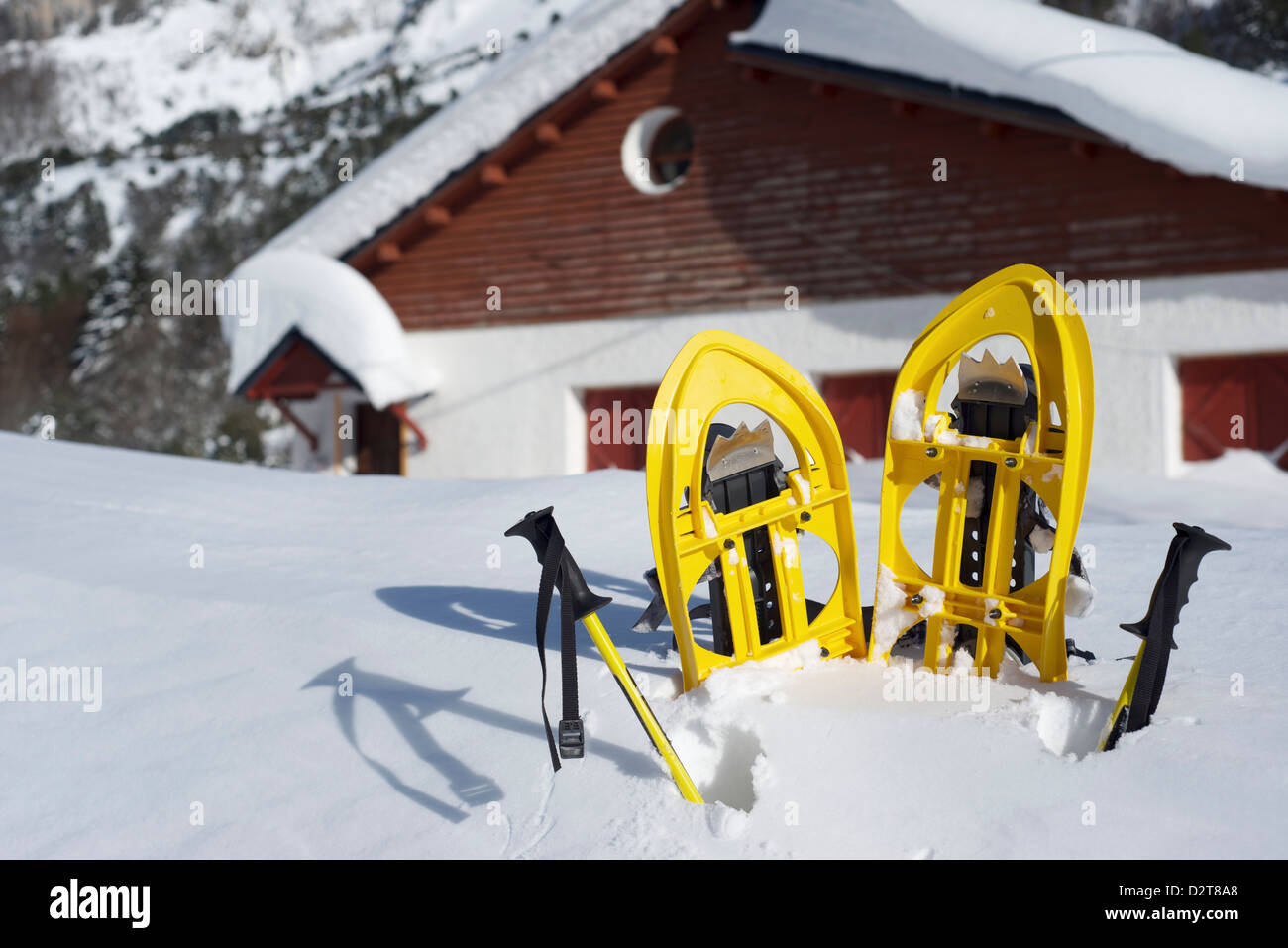 Pole racket hi-res stock photography and images - Alamy