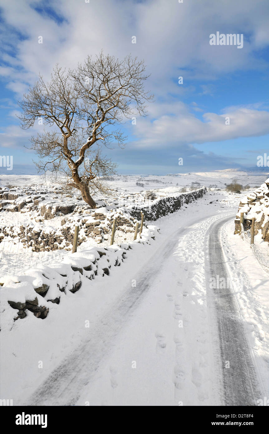 yorshire dales landscapes national park windskill winter snow Stock ...