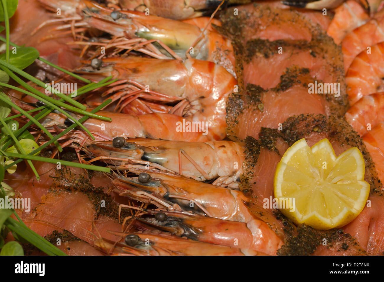 King prawns as part of a giant sea food display Stock Photo - Alamy