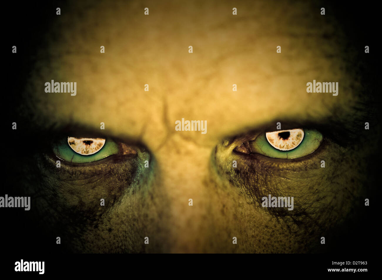 Scary Zombie Face Stock Photo - Alamy