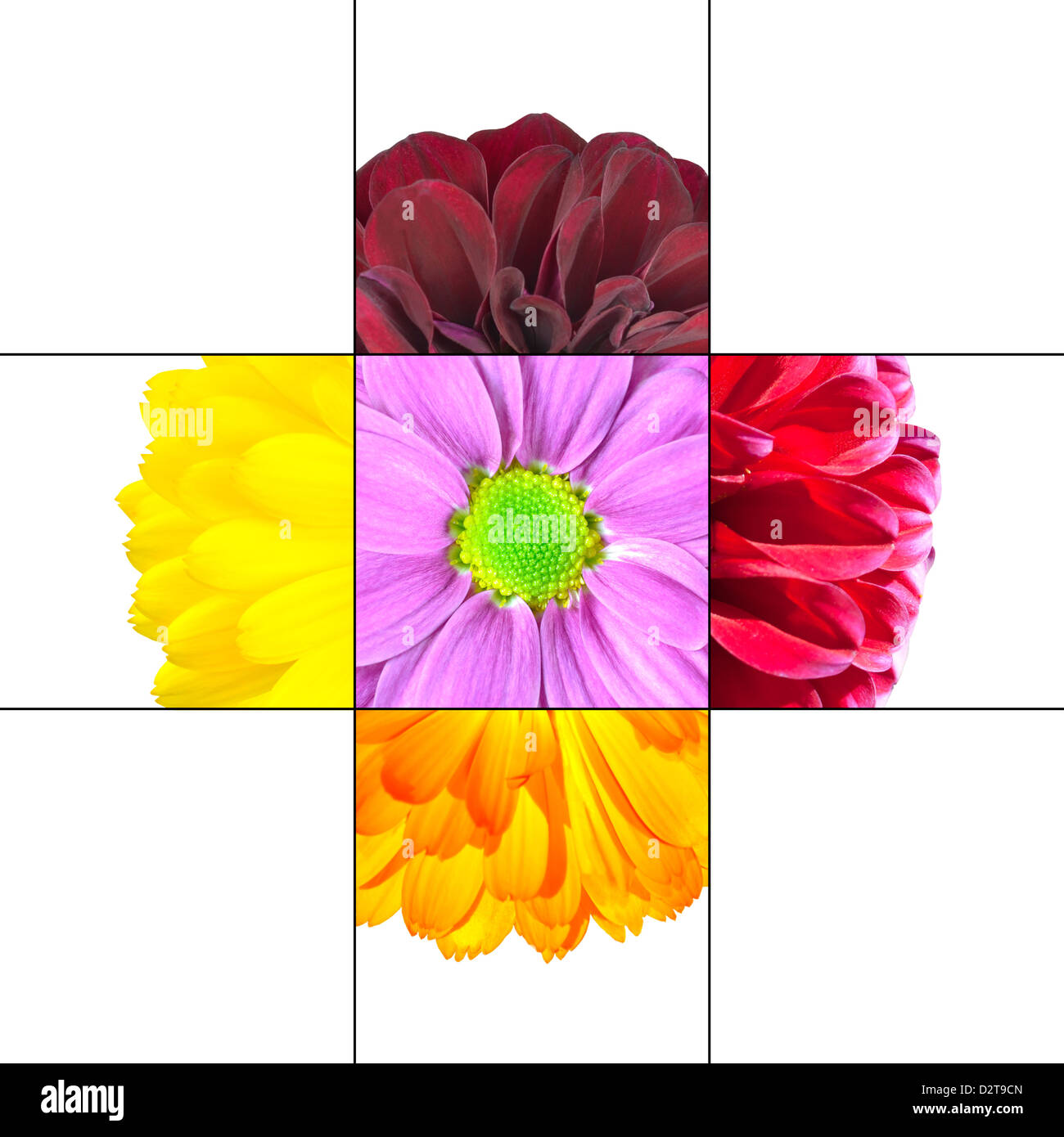 Colorful Daisy Flower mosaic design which is consisting of 9 squares on ...