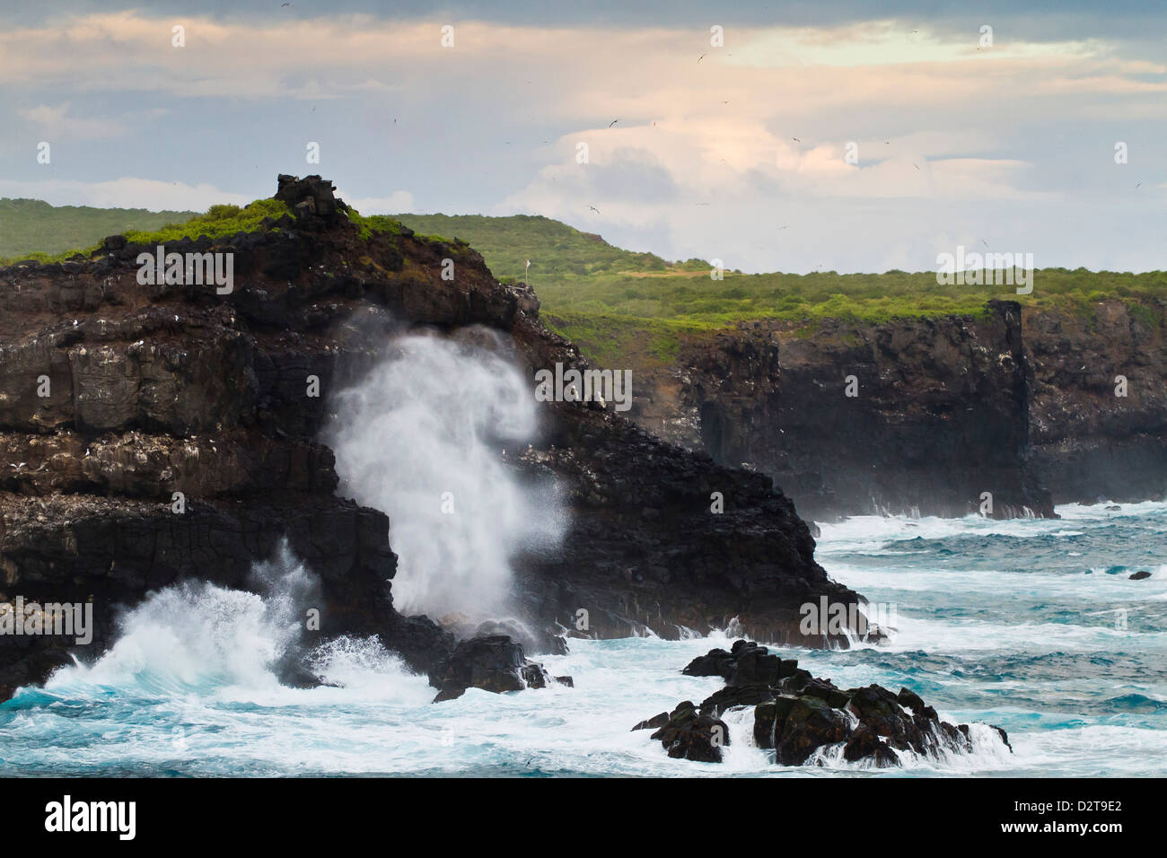 View of Punta Suarez, Espanola Island, Galapagos Islands, UNESCO World ...