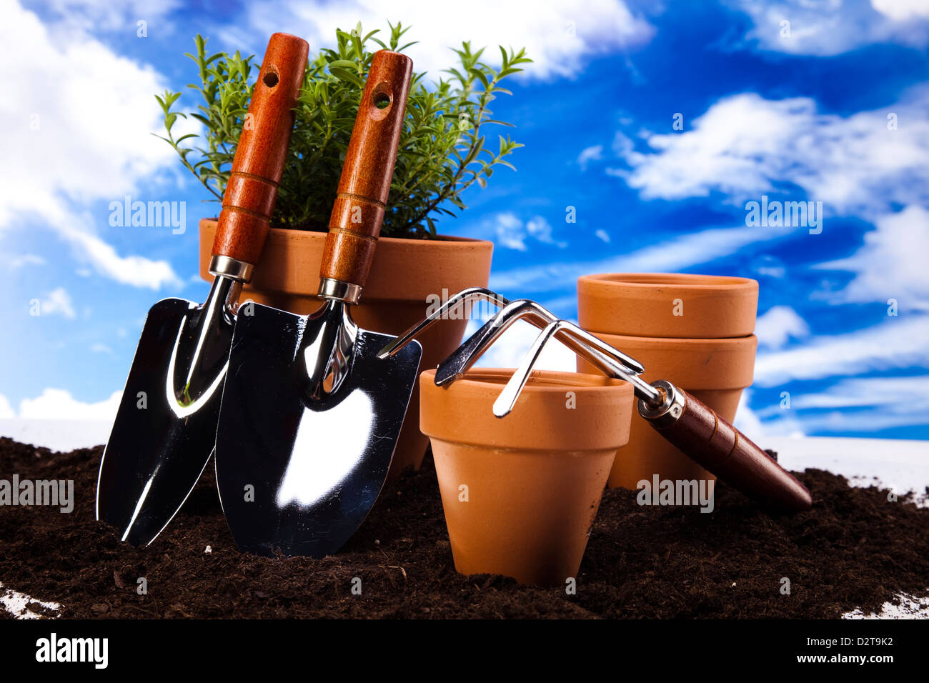 Gardening equipment and green plants Stock Photo - Alamy