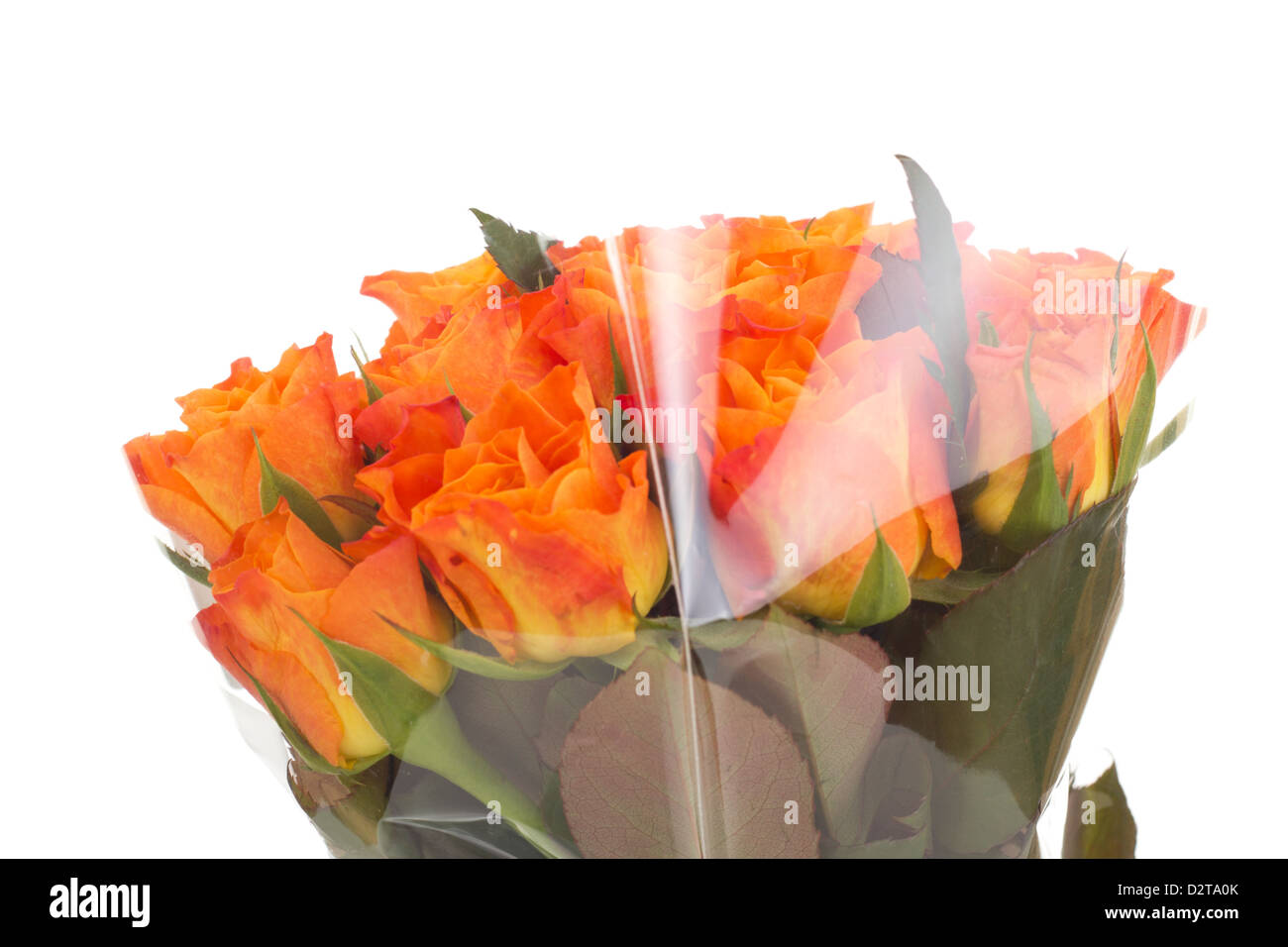 Bunch of roses Stock Photo - Alamy