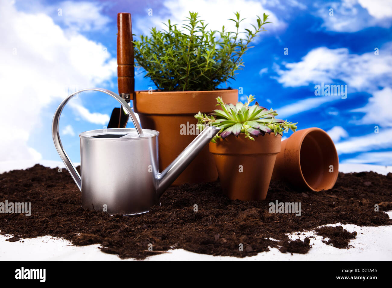 Gardening equipment with plants Stock Photo - Alamy