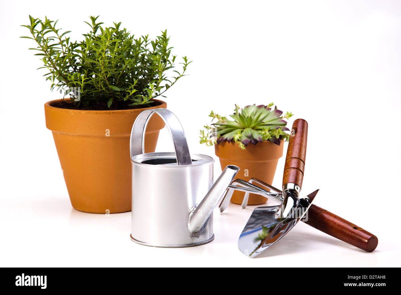 Plant and garden tools Stock Photo - Alamy