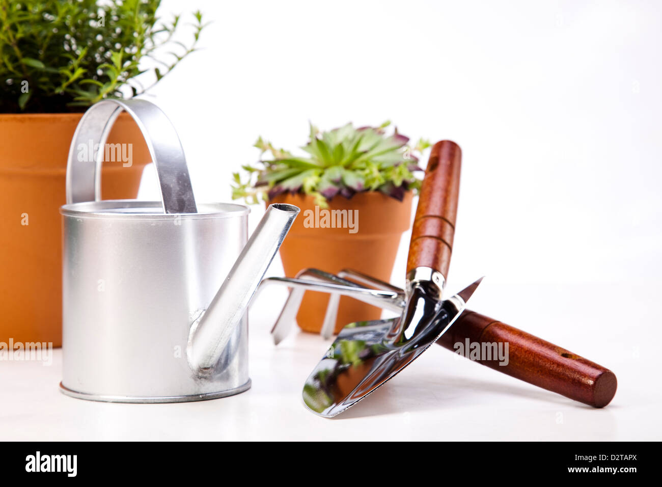 Plant and garden tools Stock Photo - Alamy