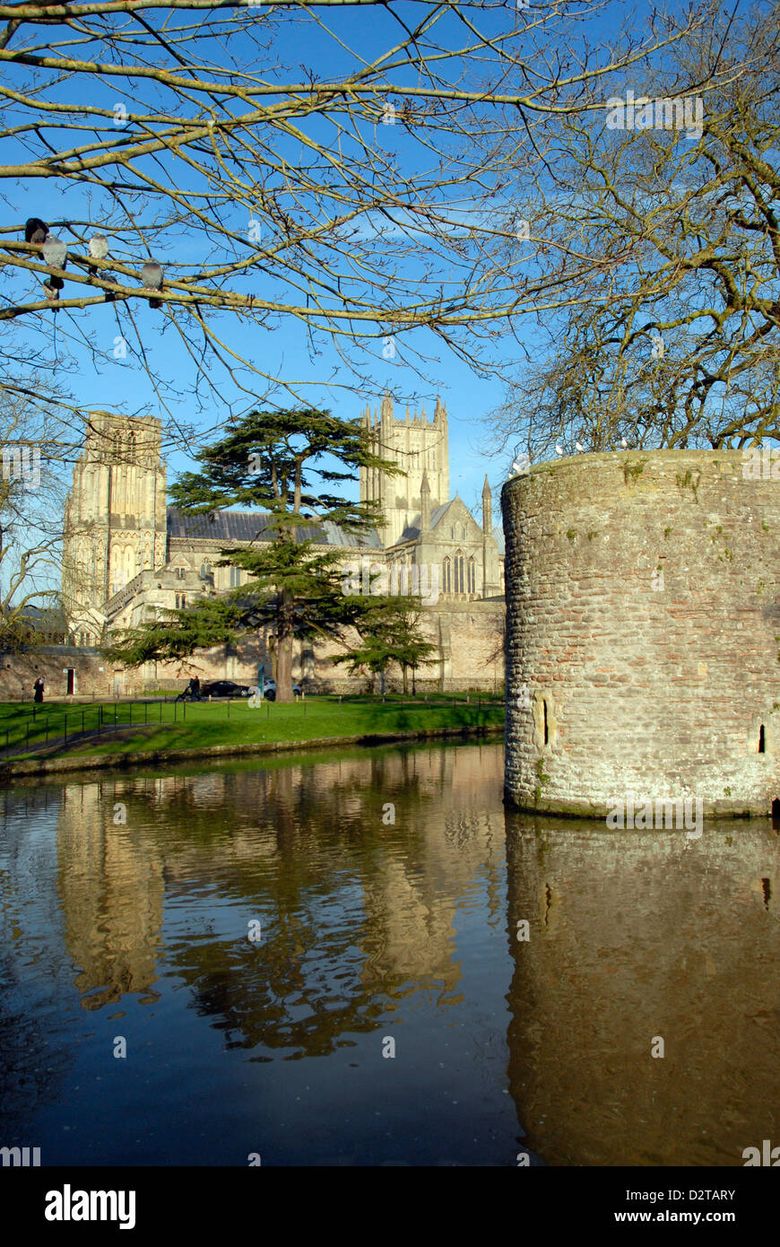 Moat around the Bishops Palace and Wells Cathedral , Wells Somerset, UK ...
