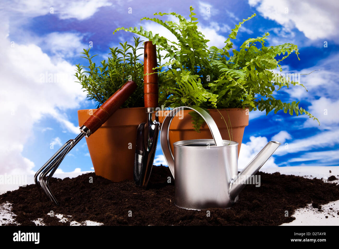 Gardening equipment with plants Stock Photo - Alamy