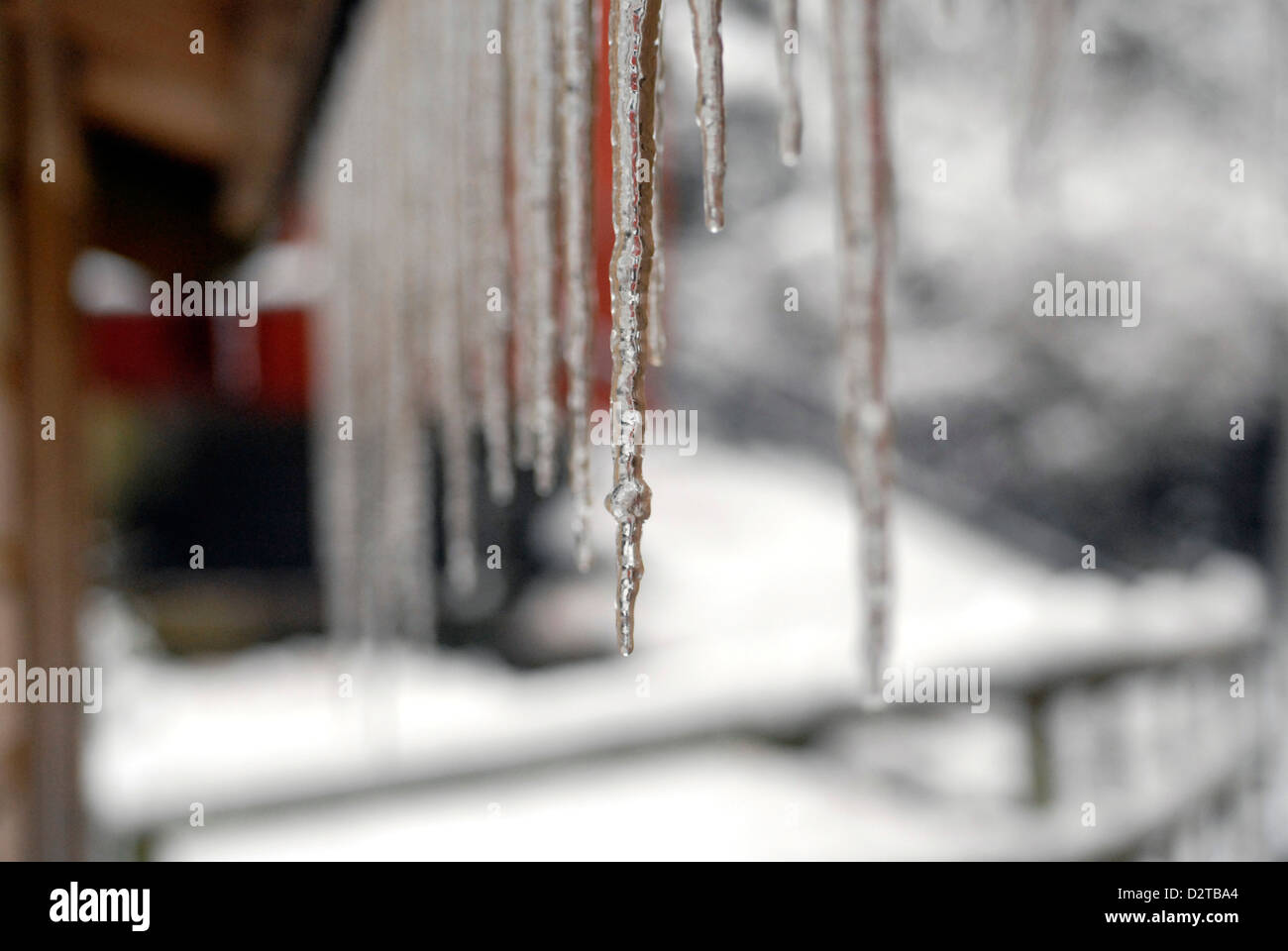 Frozen icicles suspended from a window frame in winter.UK Stock Photo ...