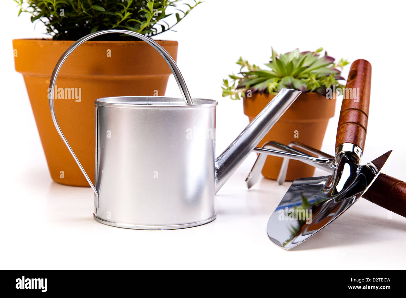 Plant and garden tools Stock Photo - Alamy