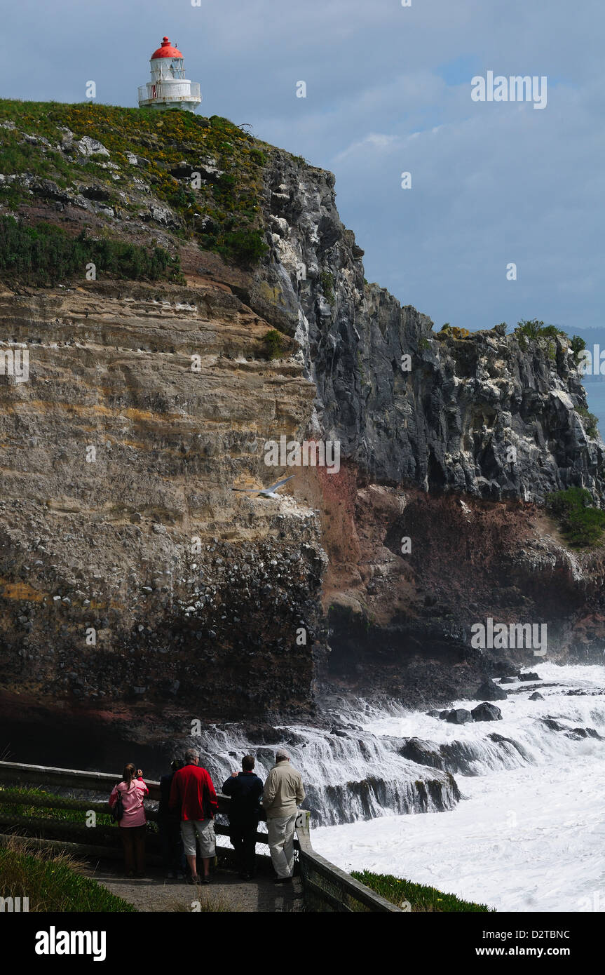 View of the Royal Albatross Centre at Taiaroa Head, Otago, South Island ...