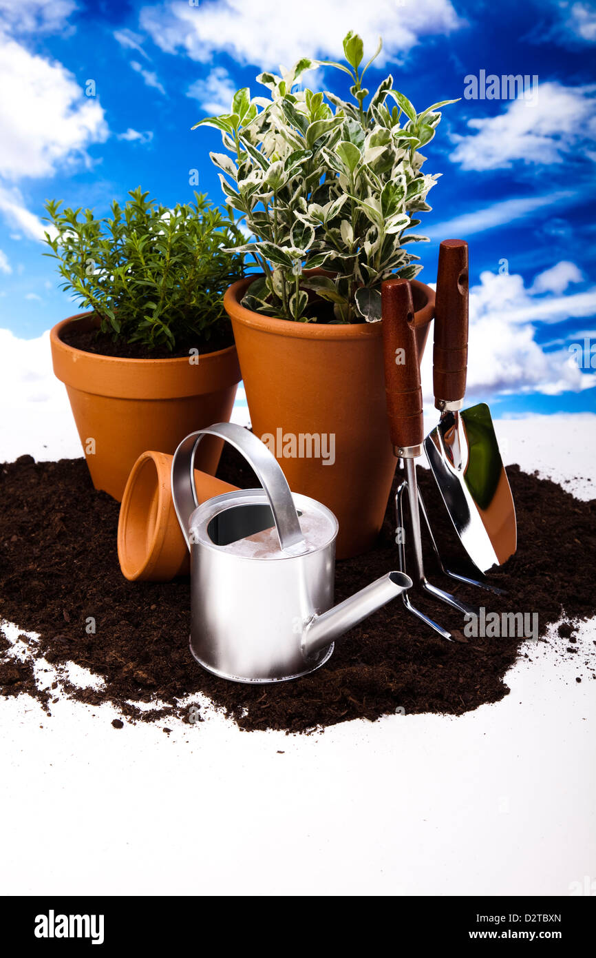 Gardening equipment and green plants Stock Photo - Alamy