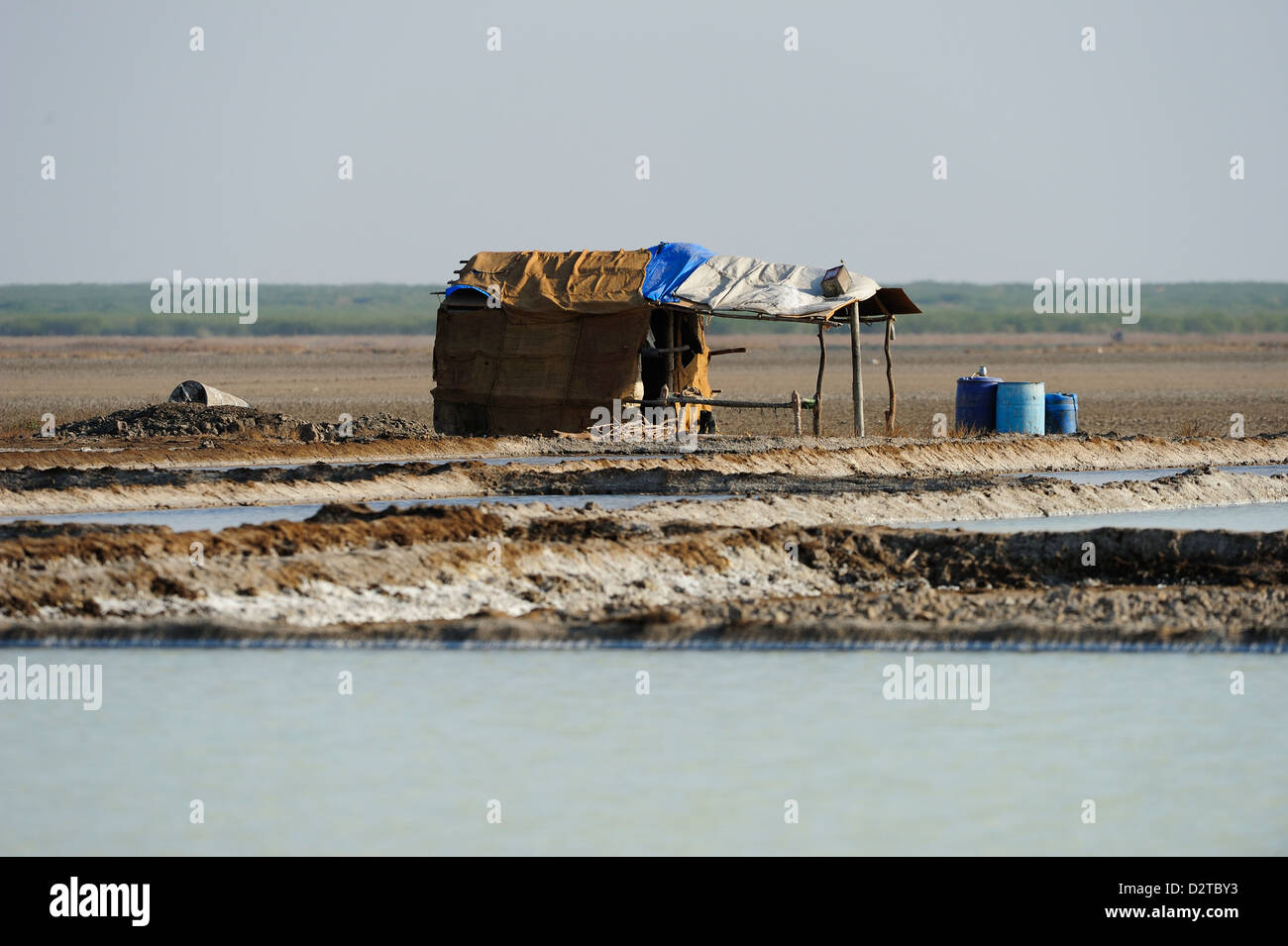 Little rann of kutch india hi-res stock photography and images - Alamy