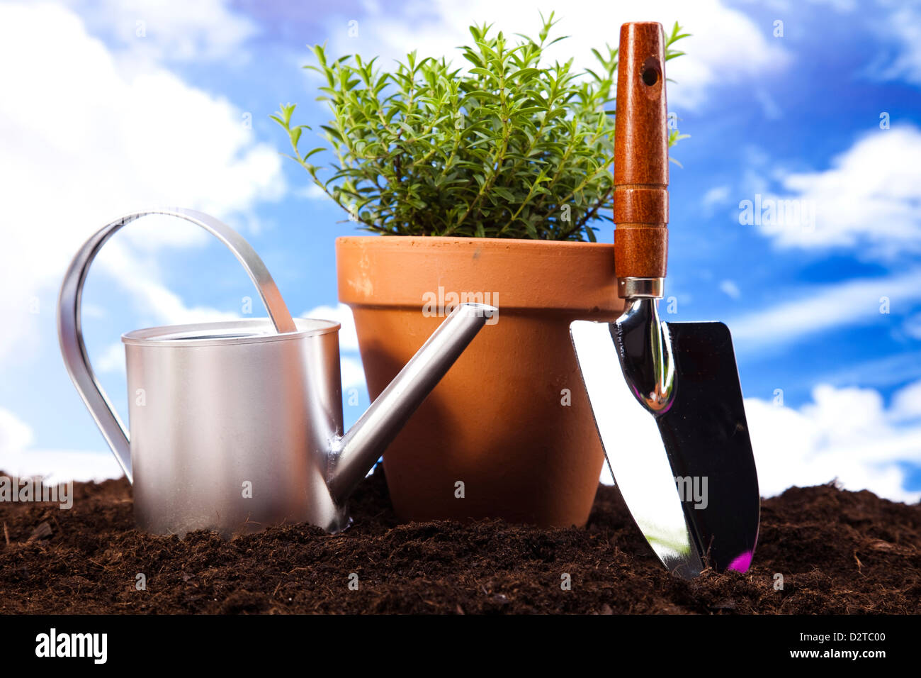 Gardening equipment with plants Stock Photo - Alamy