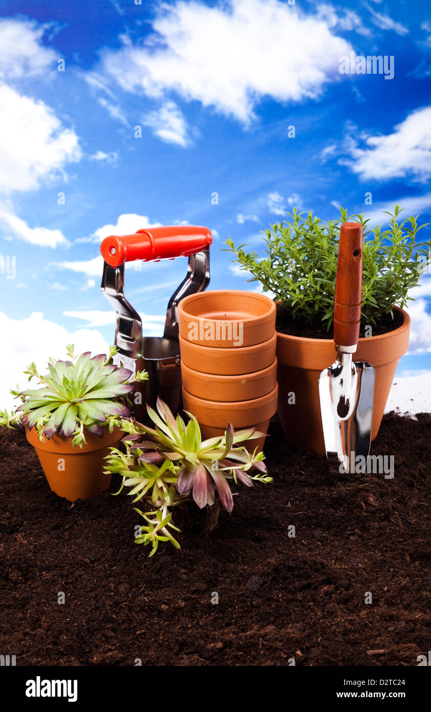 Gardening time, garden Stock Photo - Alamy