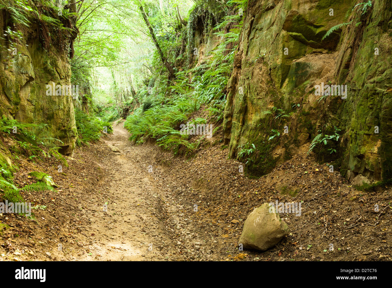 An ancient holloway (Hell Lane) cuts a deep path between the villages ...