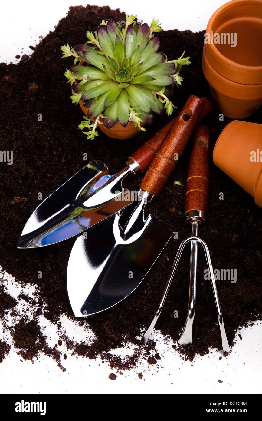 Garden tools concept Stock Photo - Alamy