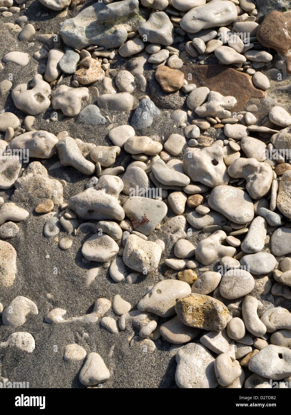 stones on the beach Stock Photo - Alamy