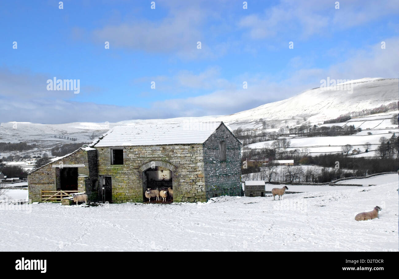 yorkshire dales barns in snow winter Stock Photo - Alamy