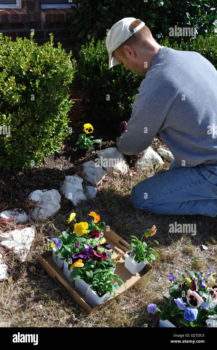 Springtime flower planting Stock Photo - Alamy