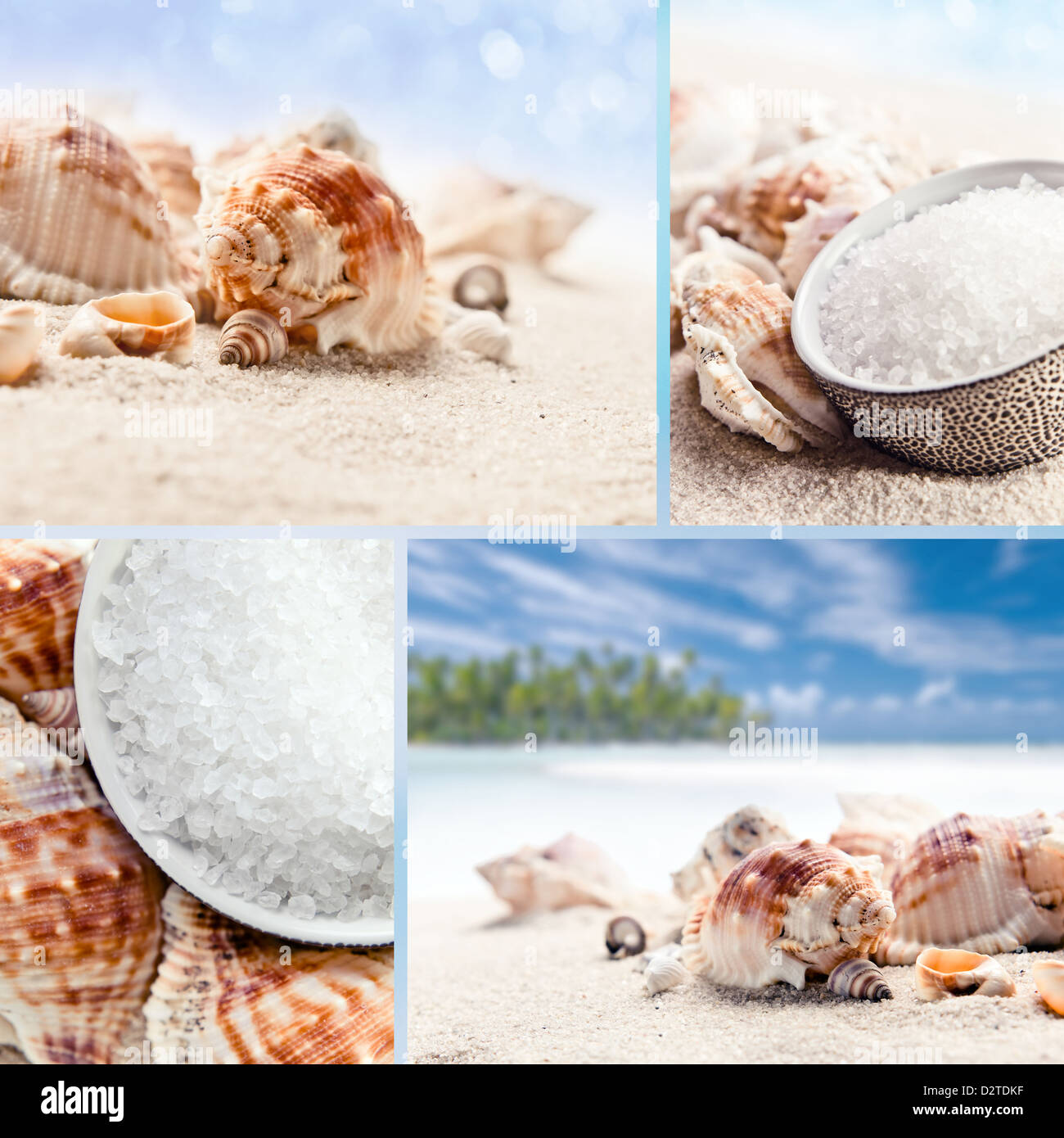 Sea salt and shells on sea beach , saved clipping path Stock Photo - Alamy