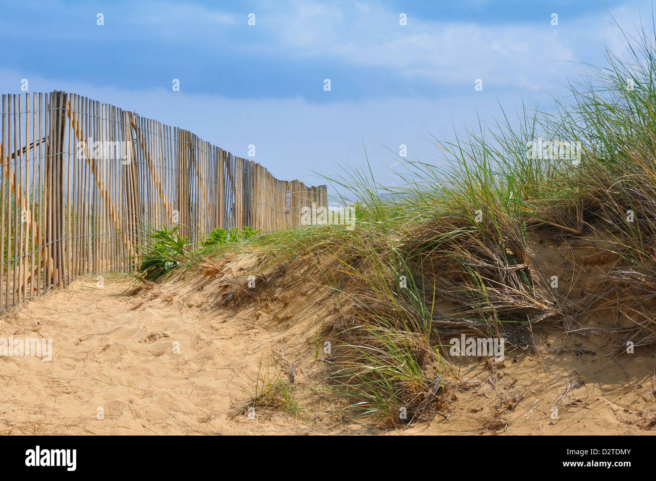 Beach fence at Marconi Beach, Cape Cod, Massachusetts, USA Stock Photo ...