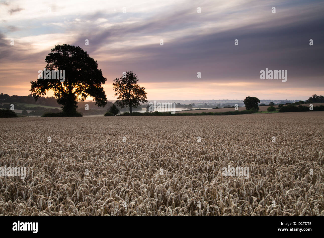 Shallow valley hi-res stock photography and images - Alamy