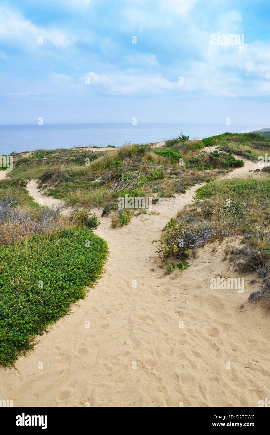 Marconi Station, Cape Cod, Massachusetts, USA - First transatlantic ...