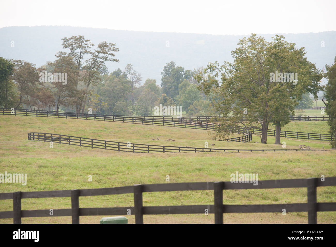Middleburg va hi-res stock photography and images - Alamy
