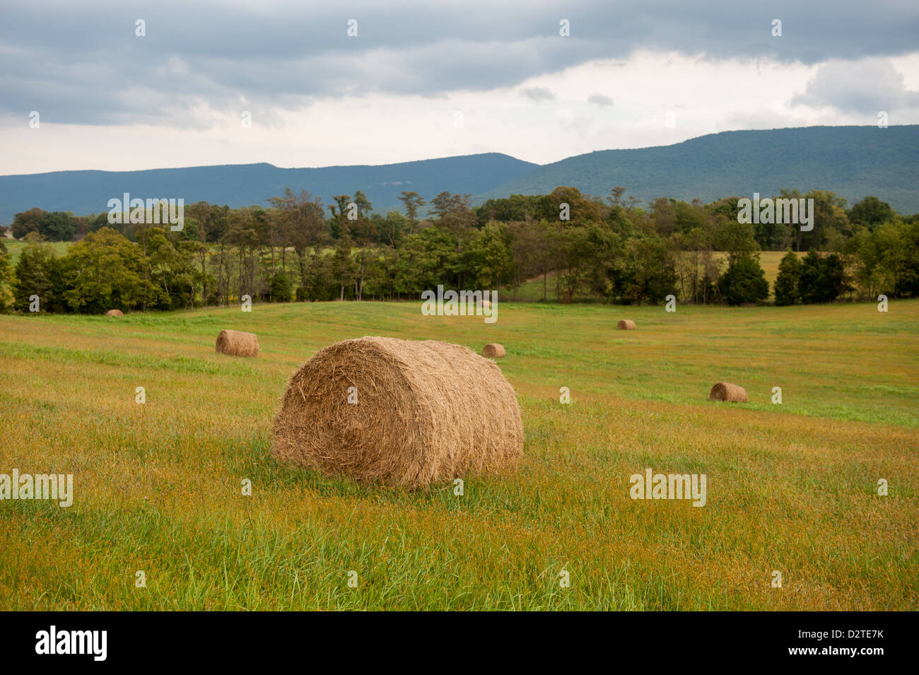 Middleburg va hi-res stock photography and images - Alamy