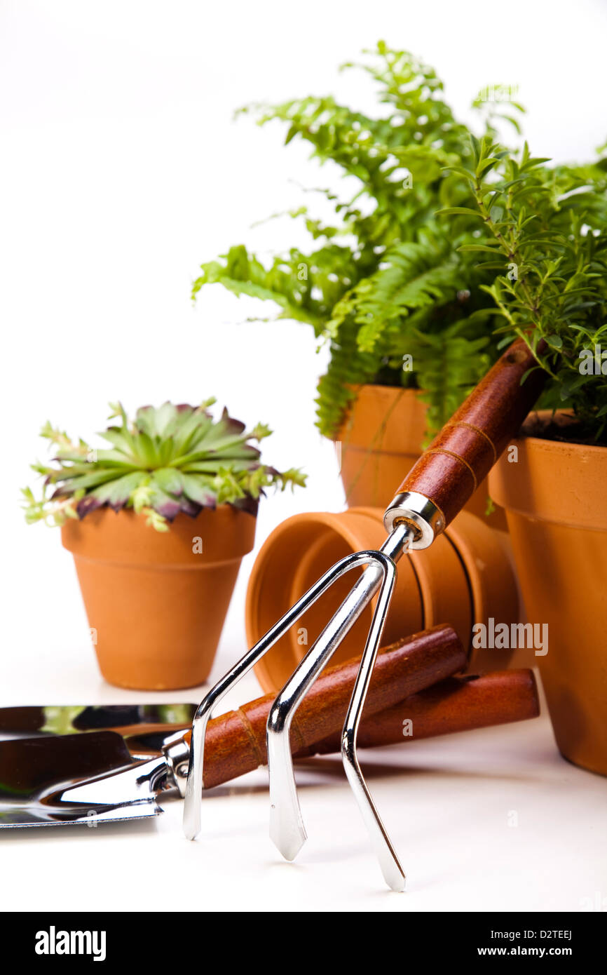 Gardening concept, work tools, plants Stock Photo - Alamy
