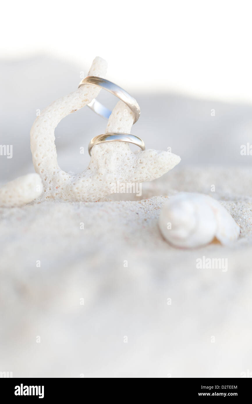 Celebration Valentine's day on beach, rings on shell Stock Photo - Alamy