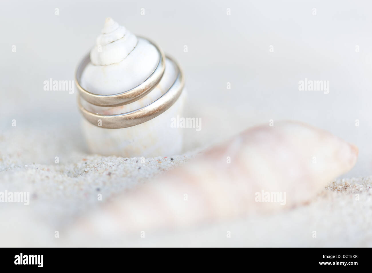 Celebration Valentine's day on beach, rings on shell Stock Photo - Alamy