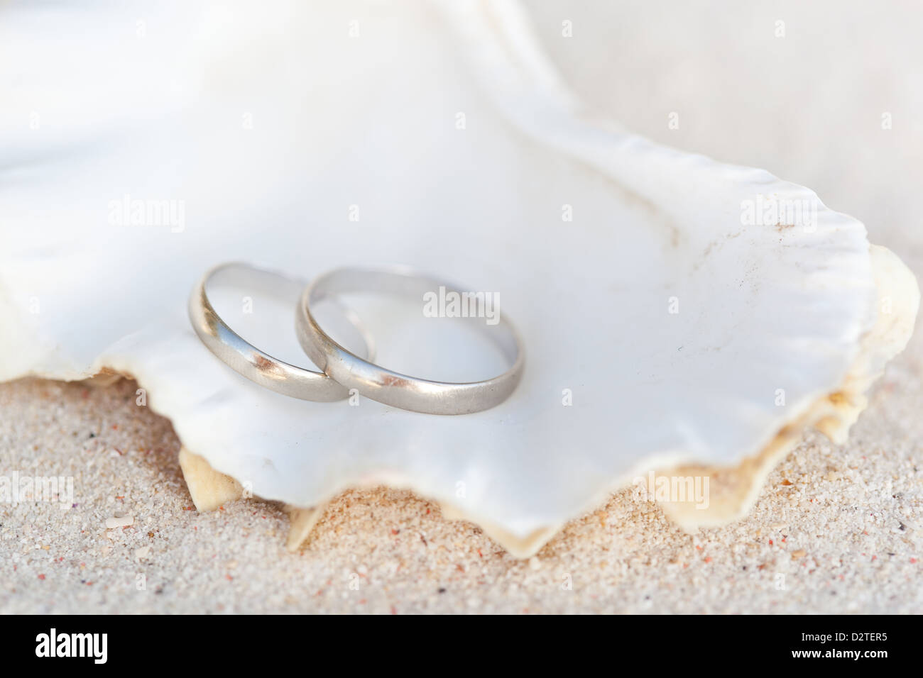 Seashell wedding rings on beach hi-res stock photography and images - Alamy
