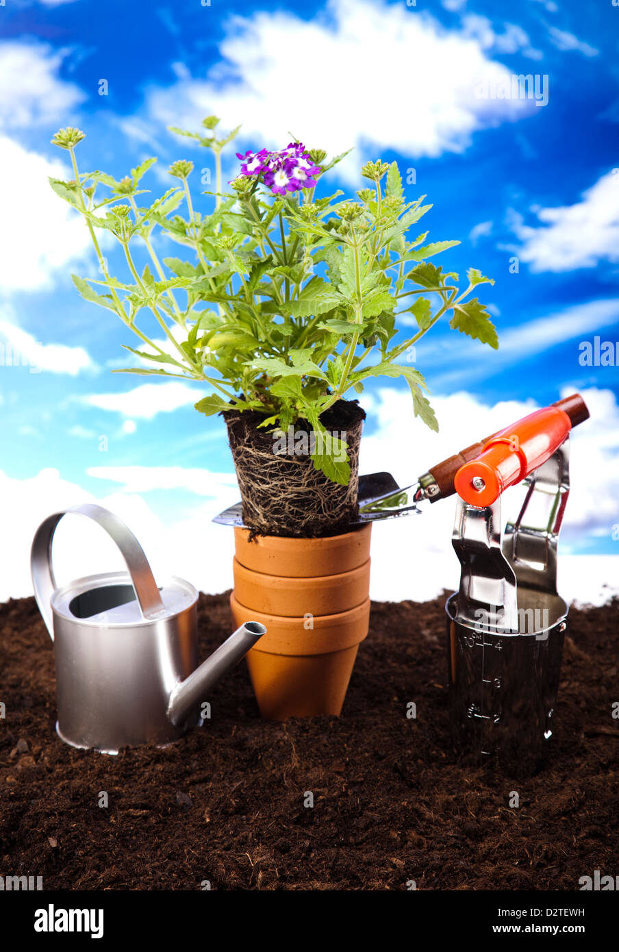 Flower, watering can and garden tools on sky background Stock Photo - Alamy