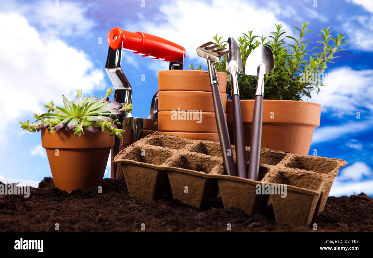 Gardening equipment with plants Stock Photo - Alamy