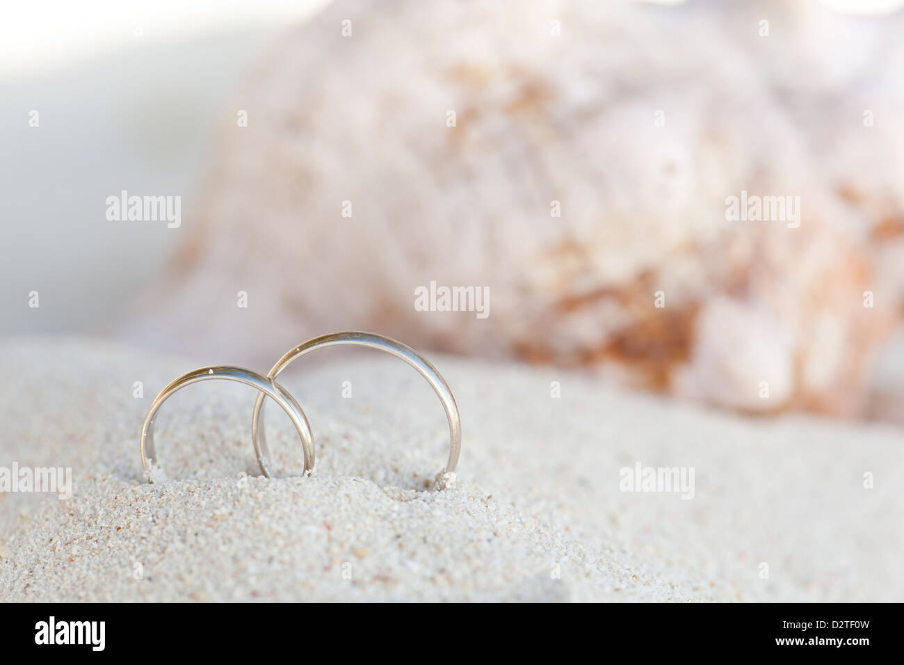 Seashell wedding rings on beach hi-res stock photography and images - Alamy